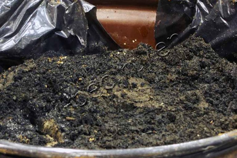 Disposal and Recycling of Sewage Sludge | International power ecology ...